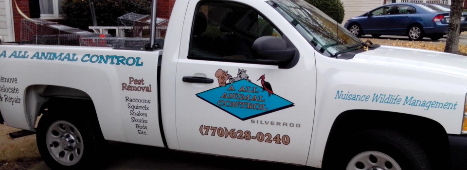 Atlanta Animal Removal, Wildlife Control, Wildlife Removal